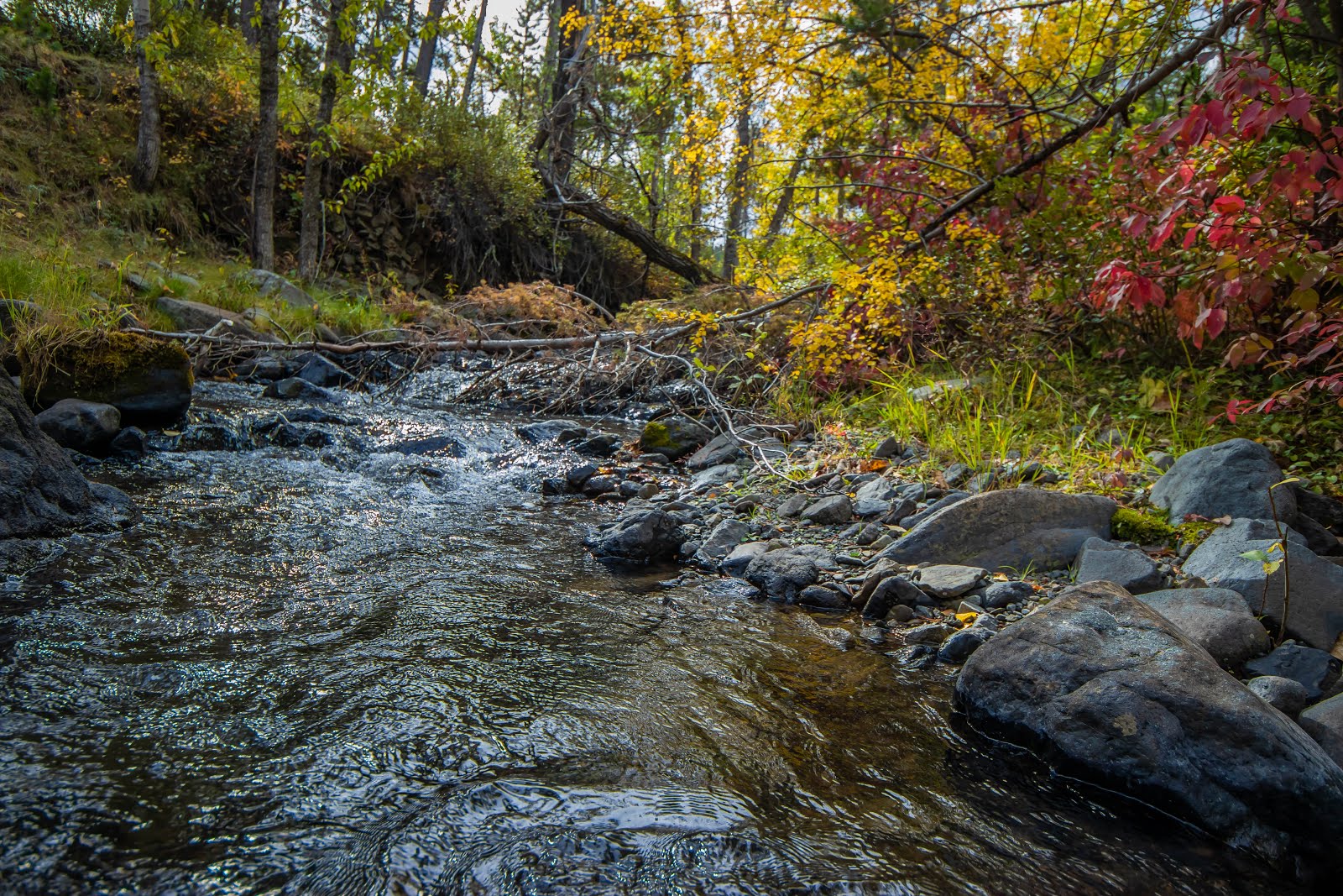 Raw photo Unedited vs Edited