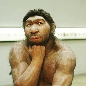 Terbaru - Manusia Purba Di Indonesia - Mutzvera