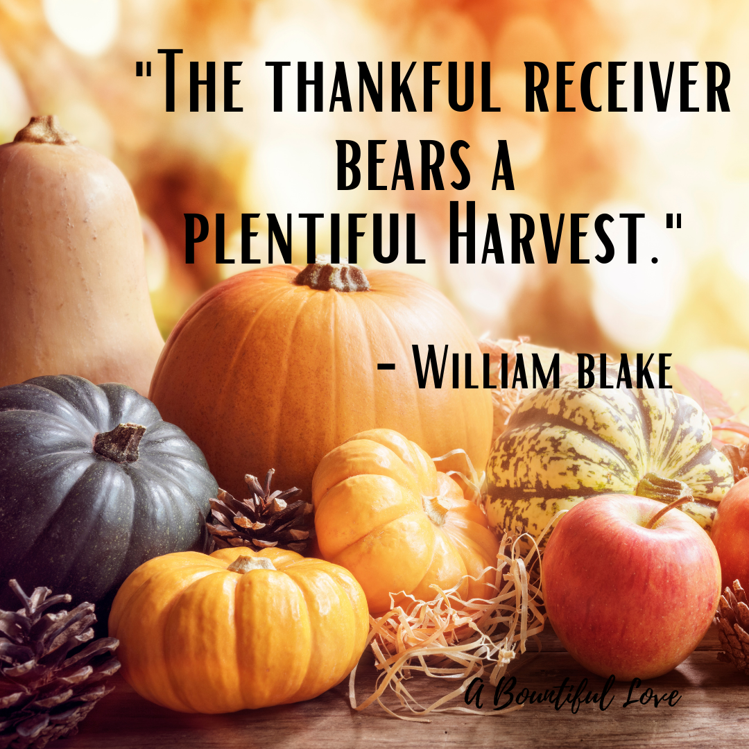 10 Best Thanksgiving Quotes - A Bountiful Love