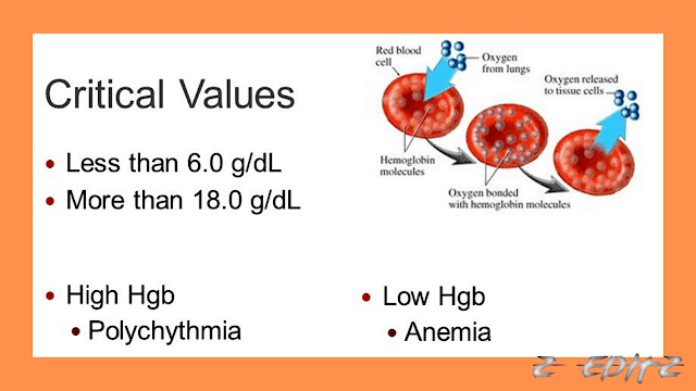 Hemoglobin Test: High & Low HGB Levels, Healthy HGB Levels - iLearnHuman