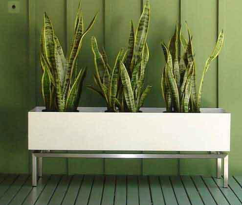 Furniture Interior: Tips Memperindah Rumah Dengan Planter Box