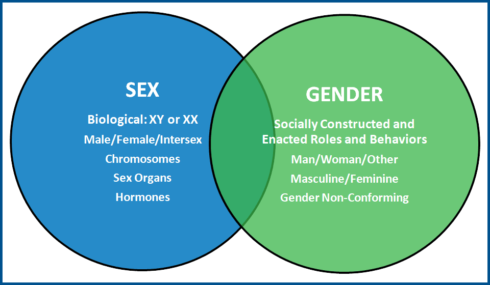 GENDER IDENTITY
