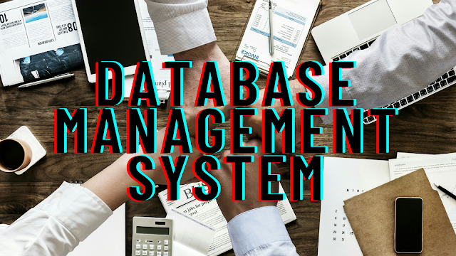 Database Management System