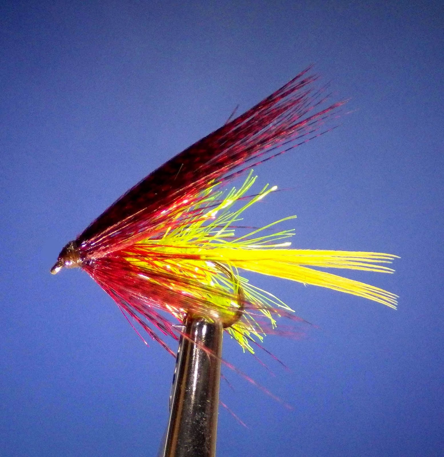 Finney's Flies: November 2013