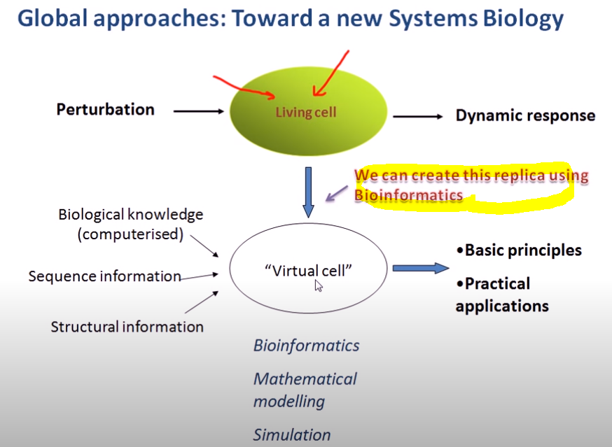 [Shomu's Biology] Bioinformatics part 1 What is Bioinformatics