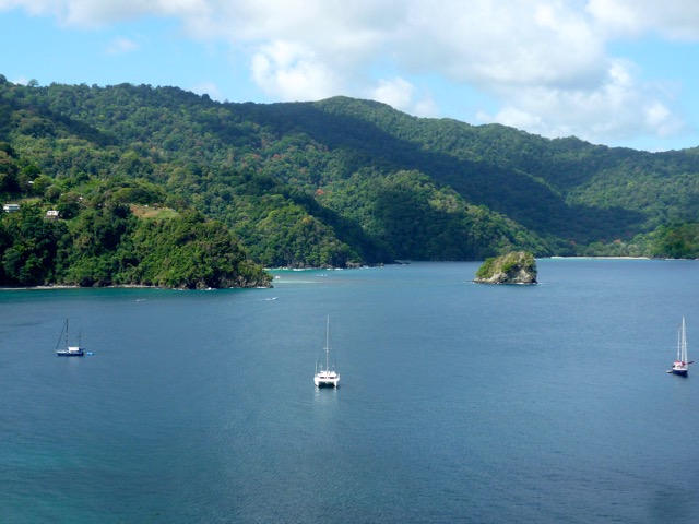 The interconnected ecosystem, ridge to reef