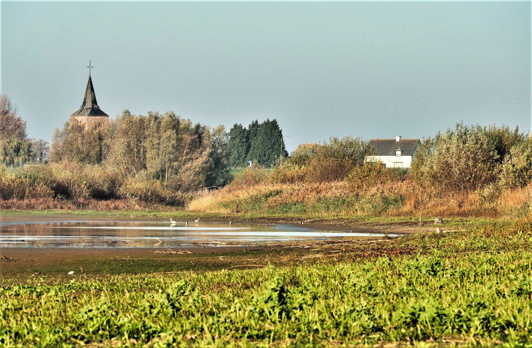 Dorpen en Steden van Nederland: Dodewaard