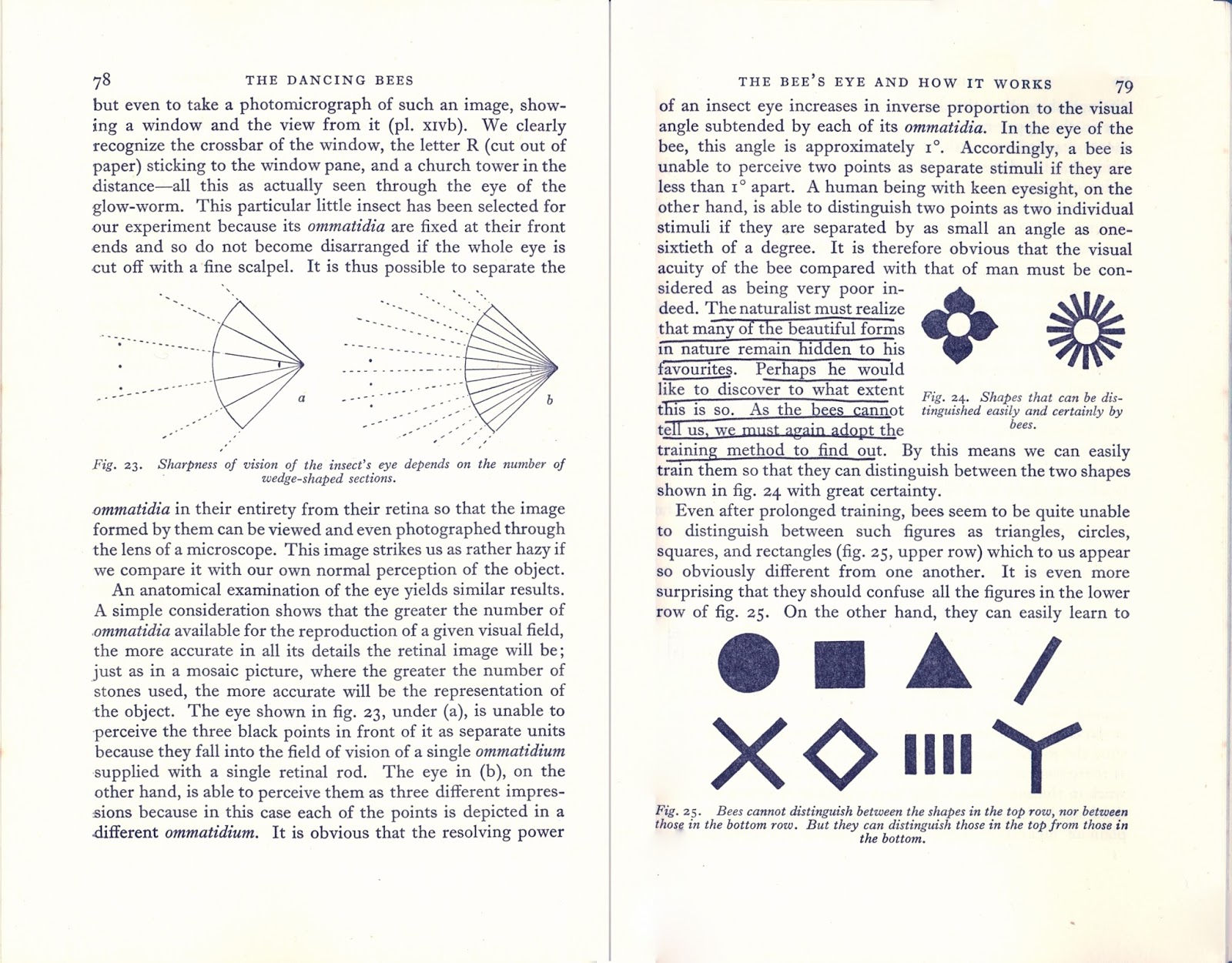 The Bee Bole: bees in philosophy
