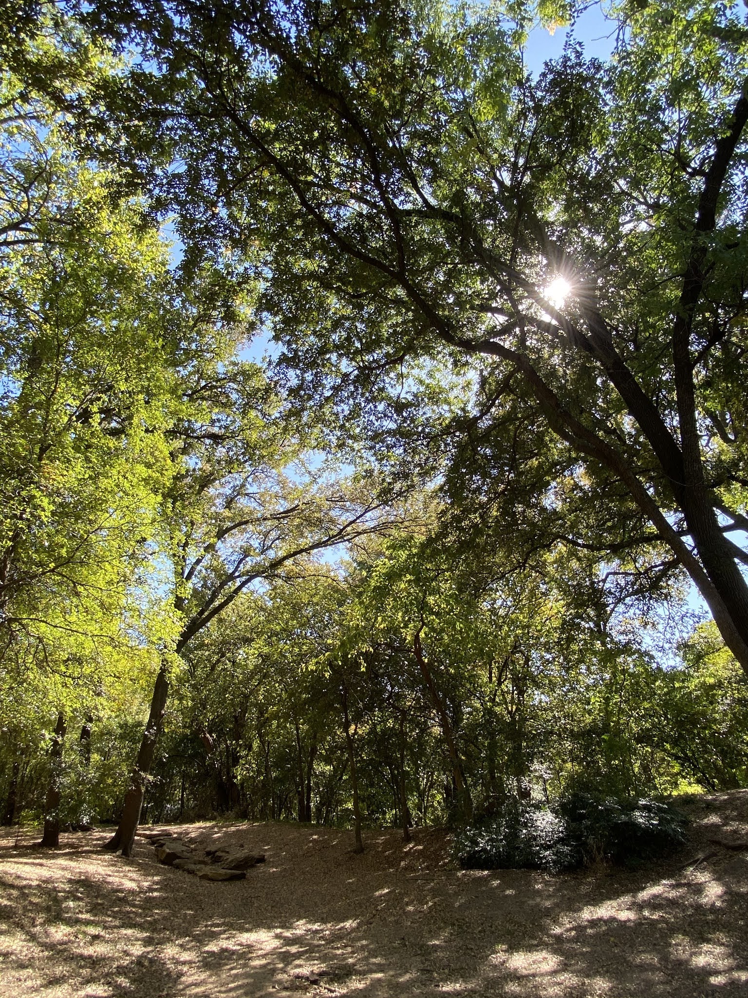 Grapevine Botanical Gardens at Heritage Park