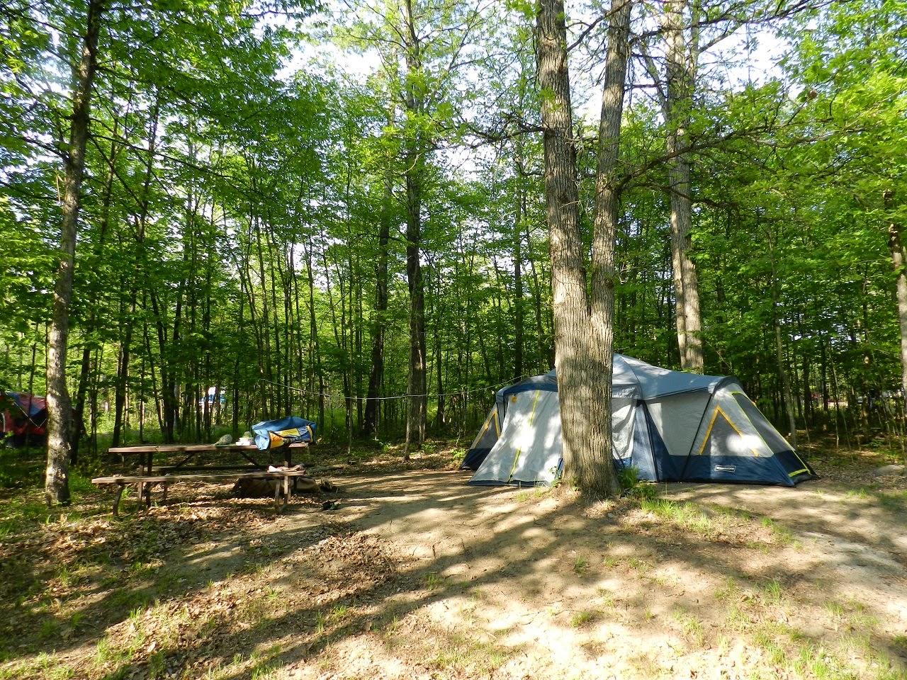 Trillium Family Travels: Camping at Fitzroy Provincial Park
