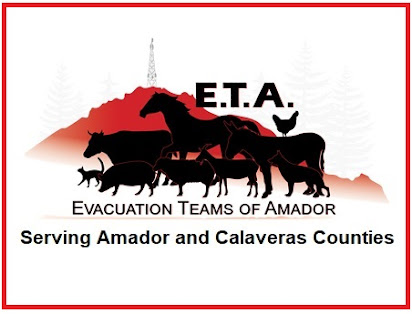 The American Cowboy Chronicles: Martha Cothren Teaches Her Students ...