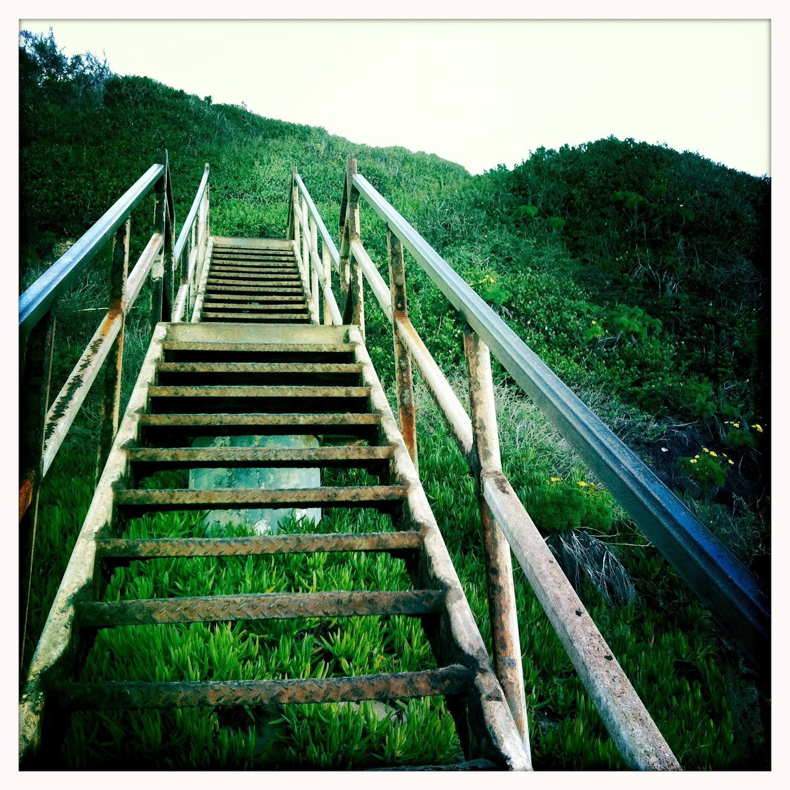A Minute in the Life of Maria: Point Dume State Beach and Natural ...