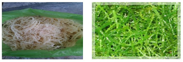 Rumput Laut (Algae) | Gudang Ilmu Pengetahuan