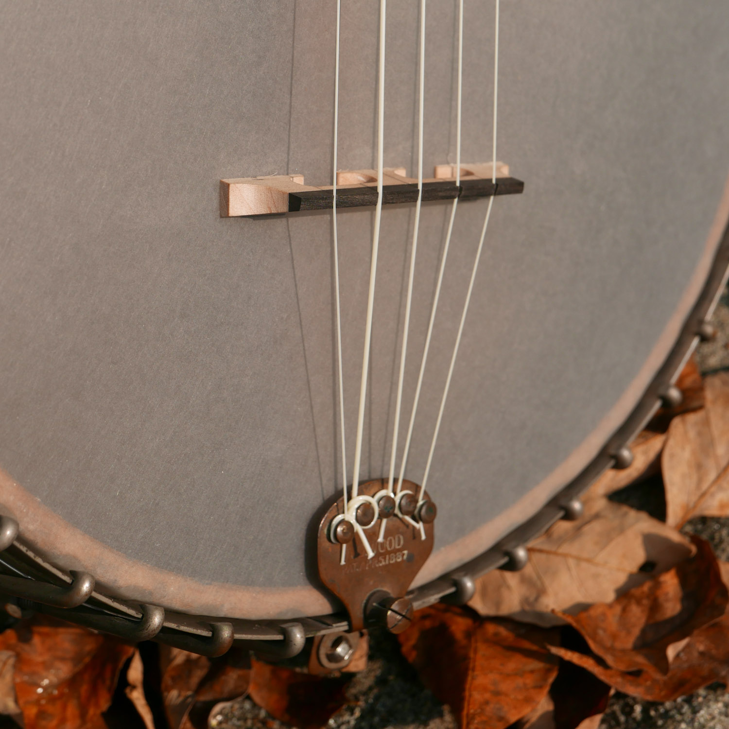1880s Buckbee 5-String Fretless Banjo