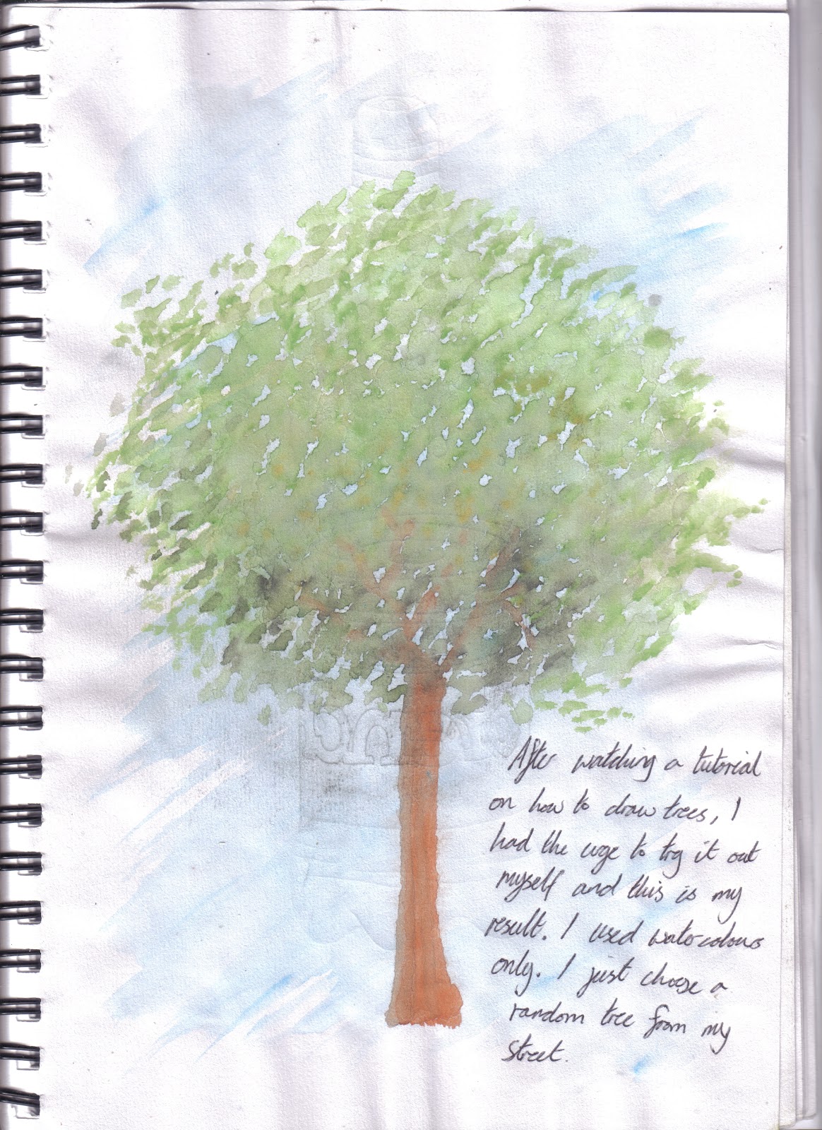 Red Dreamz: Drawing from Observation