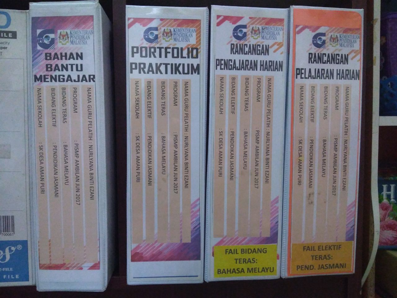 Nurlyana Ezani : TIPS PRAKTIKUM IPG