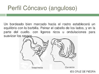 TIPOS DE PERFIL (Rostro)