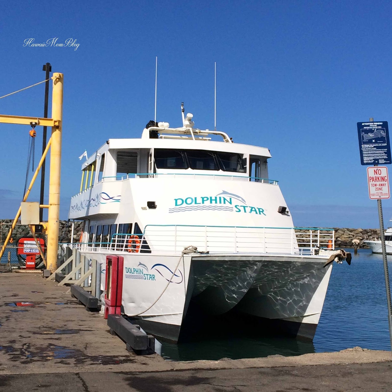 Hawaii Mom Blog: A Magical Morning on the Dolphin Star - Kids Free July ...