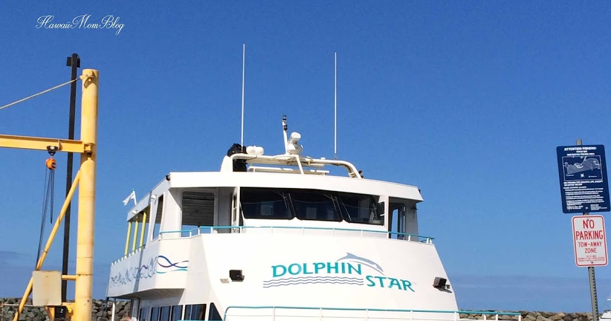 Hawaii Mom Blog: A Magical Morning on the Dolphin Star - Kids Free July ...