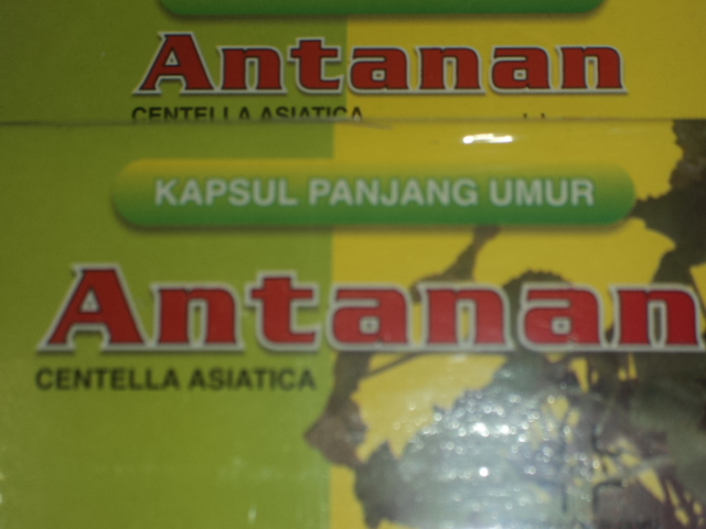 ANTANAN KAPSUL ~ KUTA HERBAL
