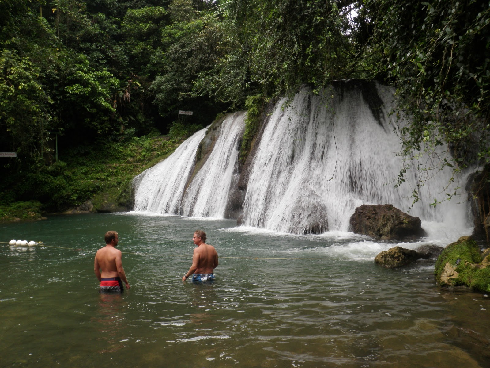 Mucho Gusto 2011: Cayman Islands!!