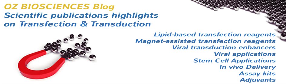 Blog for cell transfection and transduction: Primary human neonatal ...