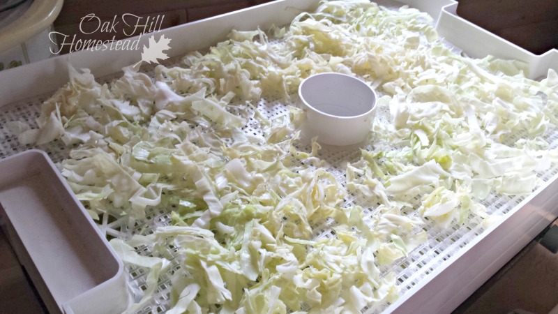 Freezing and Dehydrating Cabbage - Oak Hill Homestead