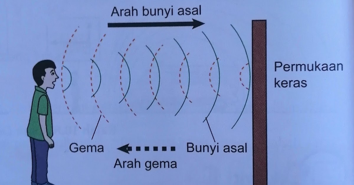 Fenomena dan Aplikasi Pantulan Gelombang Bunyi
