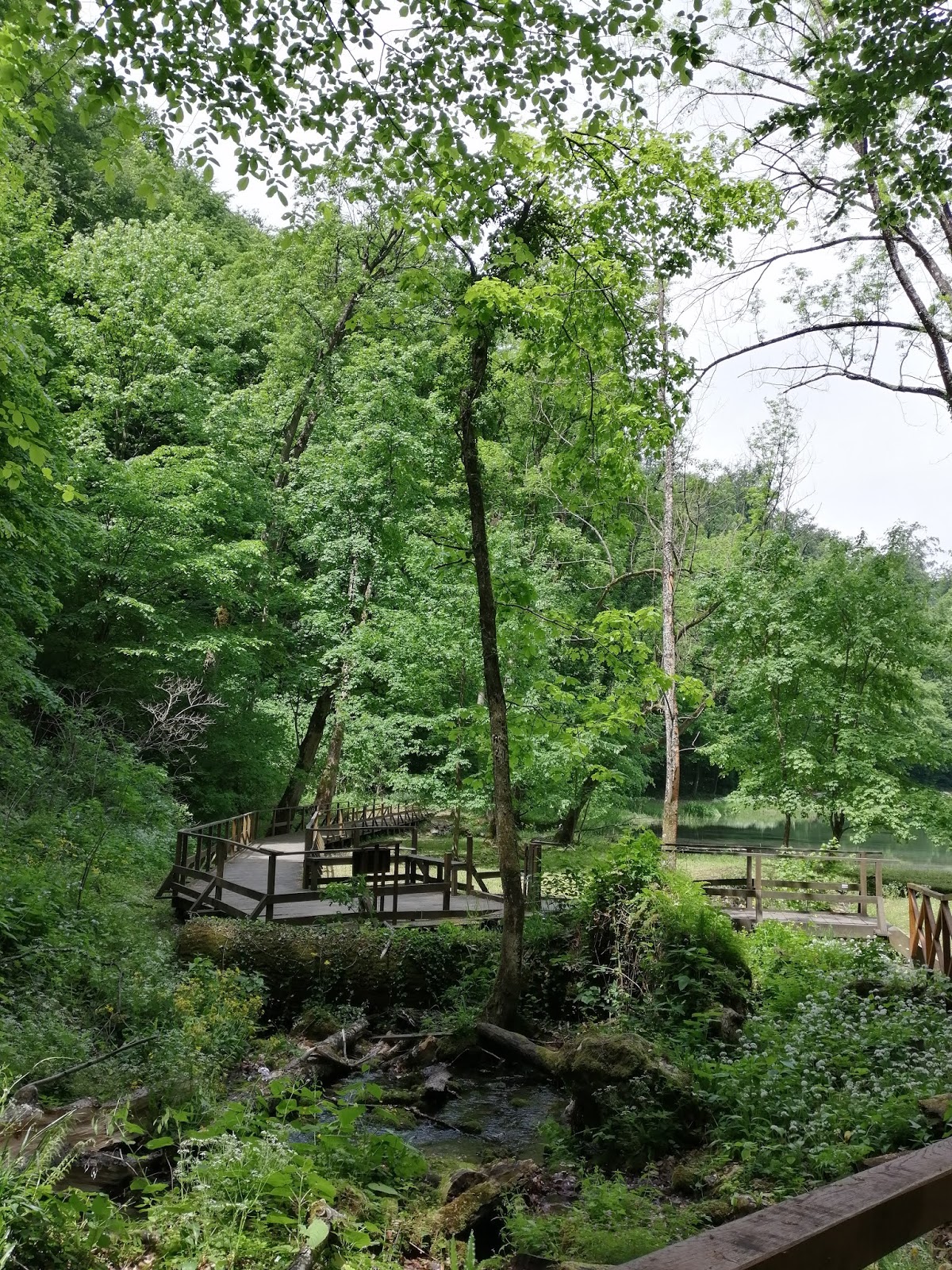 Park prirode Papuk, izletište Jankovac | Maja Poljarević