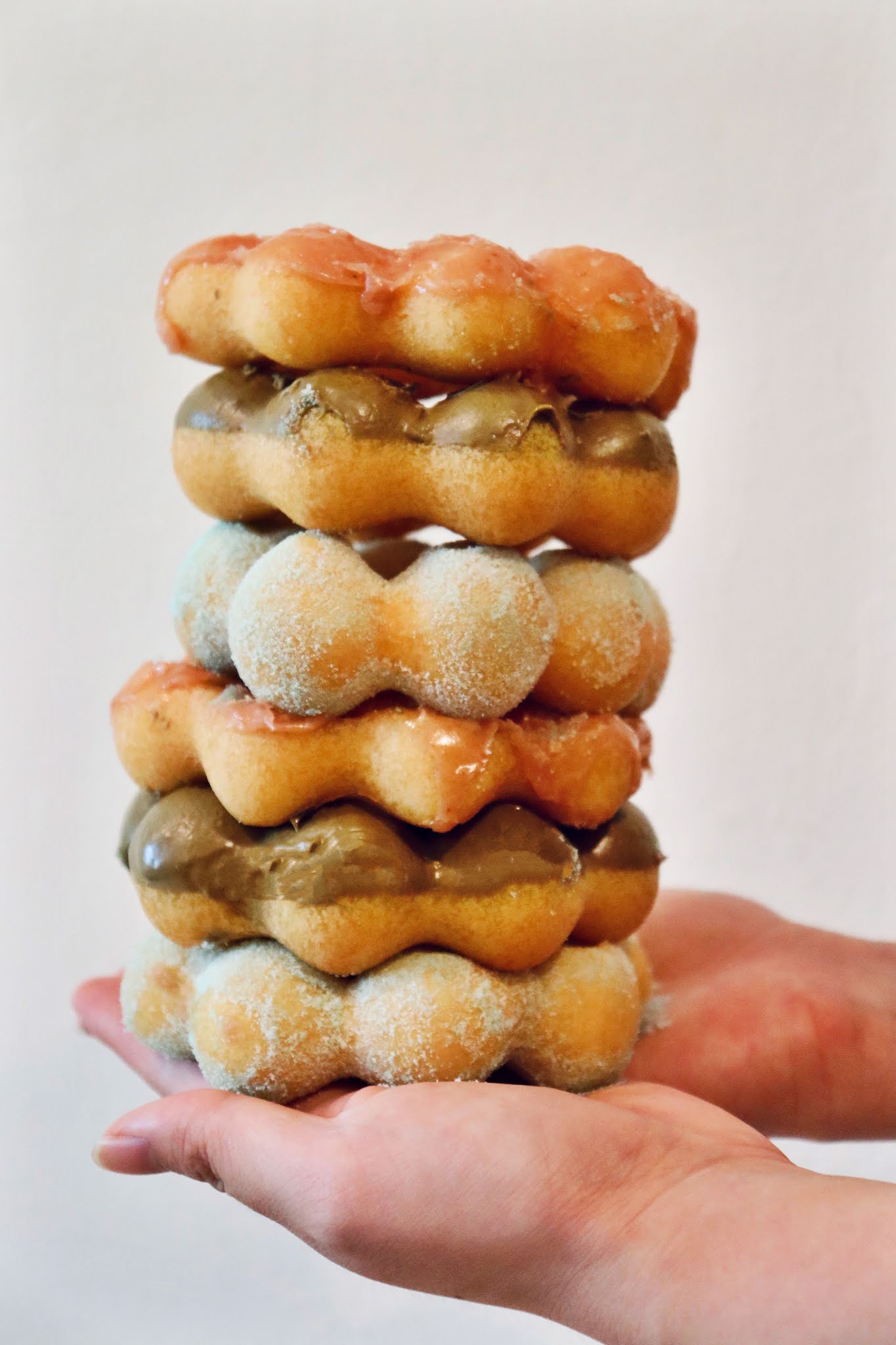 Modo Donuts Hawaii Popup - San Jose, CA