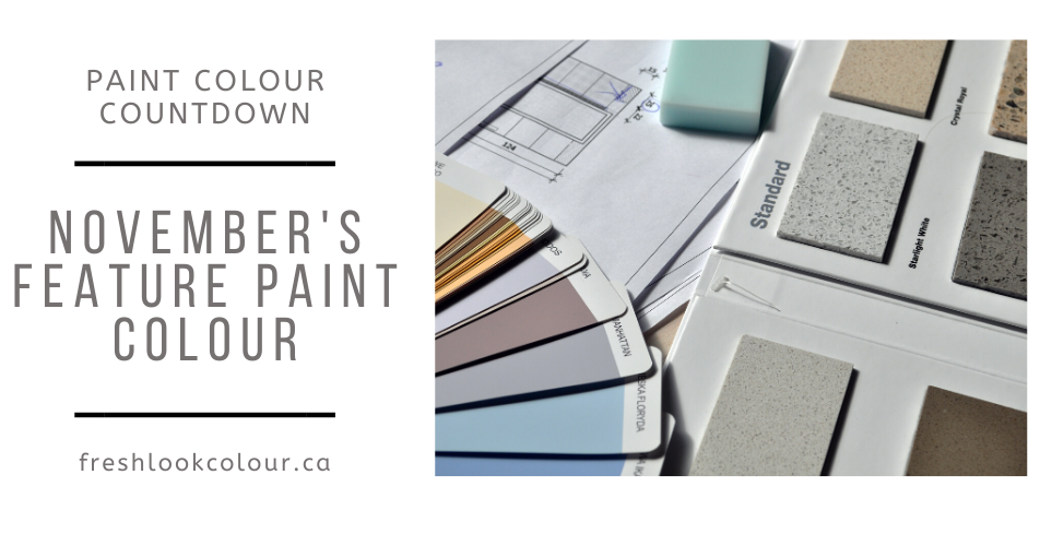 Fresh Look's Feature Paint Colour for November