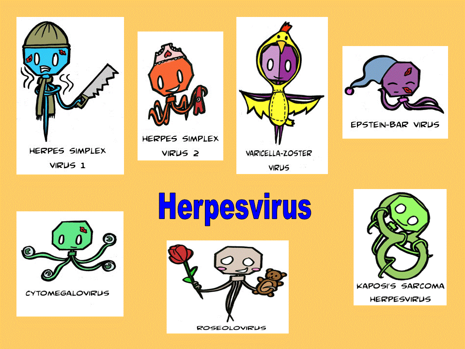 CONOCE LOS MICROBIOS: VIRUS Y AGRUPACIONES VIRALES