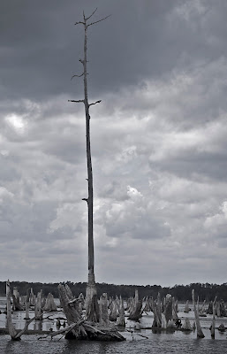 Old Florida: Holy water, sacred ground