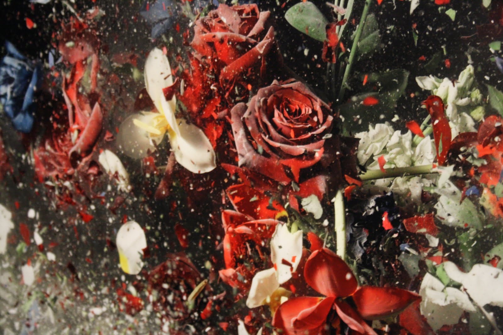 Florist Wilmington NC | Bloomers Flowers Blog - Wilmington NC ...