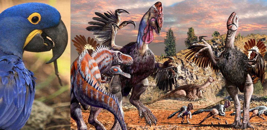 pan-Aves: Ohlédnutí za pterosauřími objevy roku 2014, díl 4 ...