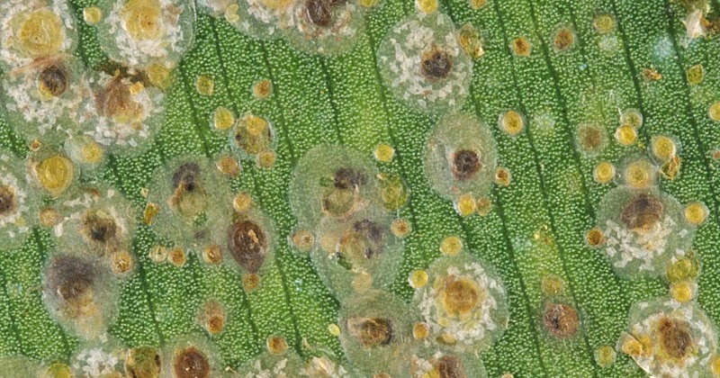 Living with Nature - School on Blog by Dr. Abercio V. Rotor: Need of a ...