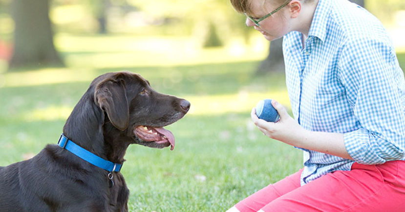 Happiness could be a Well Trained Puppy-What does it feel like to have ...