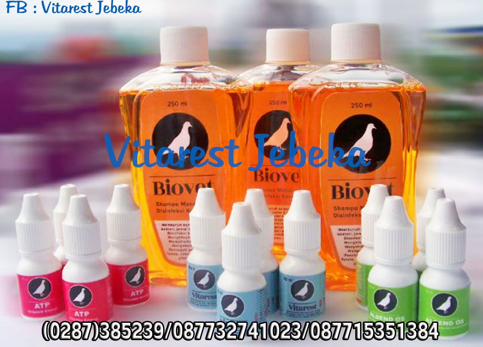 Vitarest Jebeka Indonesia