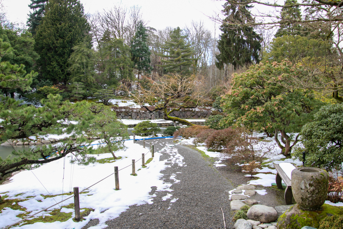 Seattle Japanese Garden Community Blog: Special Events