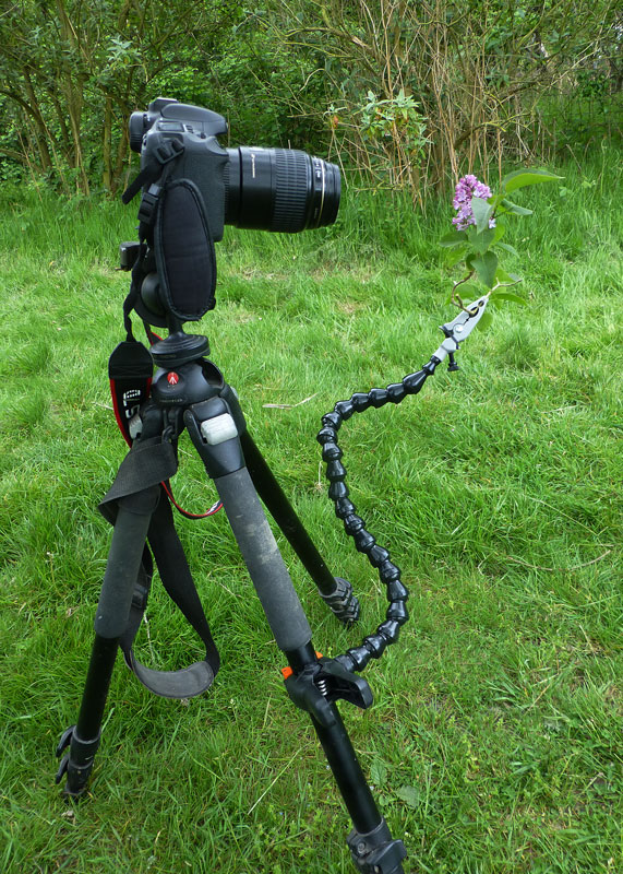 The NEW Wimberley Plamp 2, Plamp G and Plamp Extension, Chatty video ...