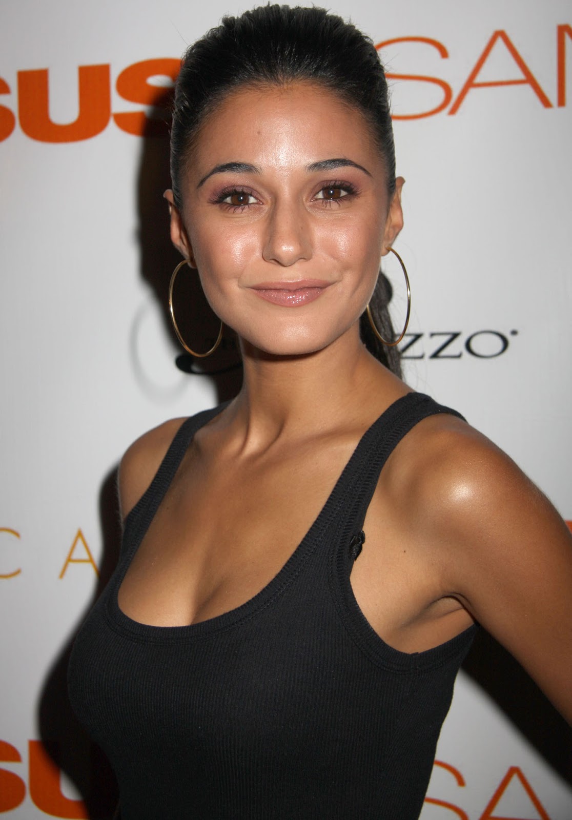 Emmanuelle Chriqui Hd Wallpapers High Definition Free Background