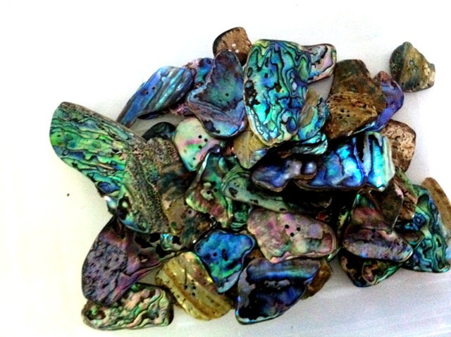 Wildflower Designs: What Paua is made of and more!