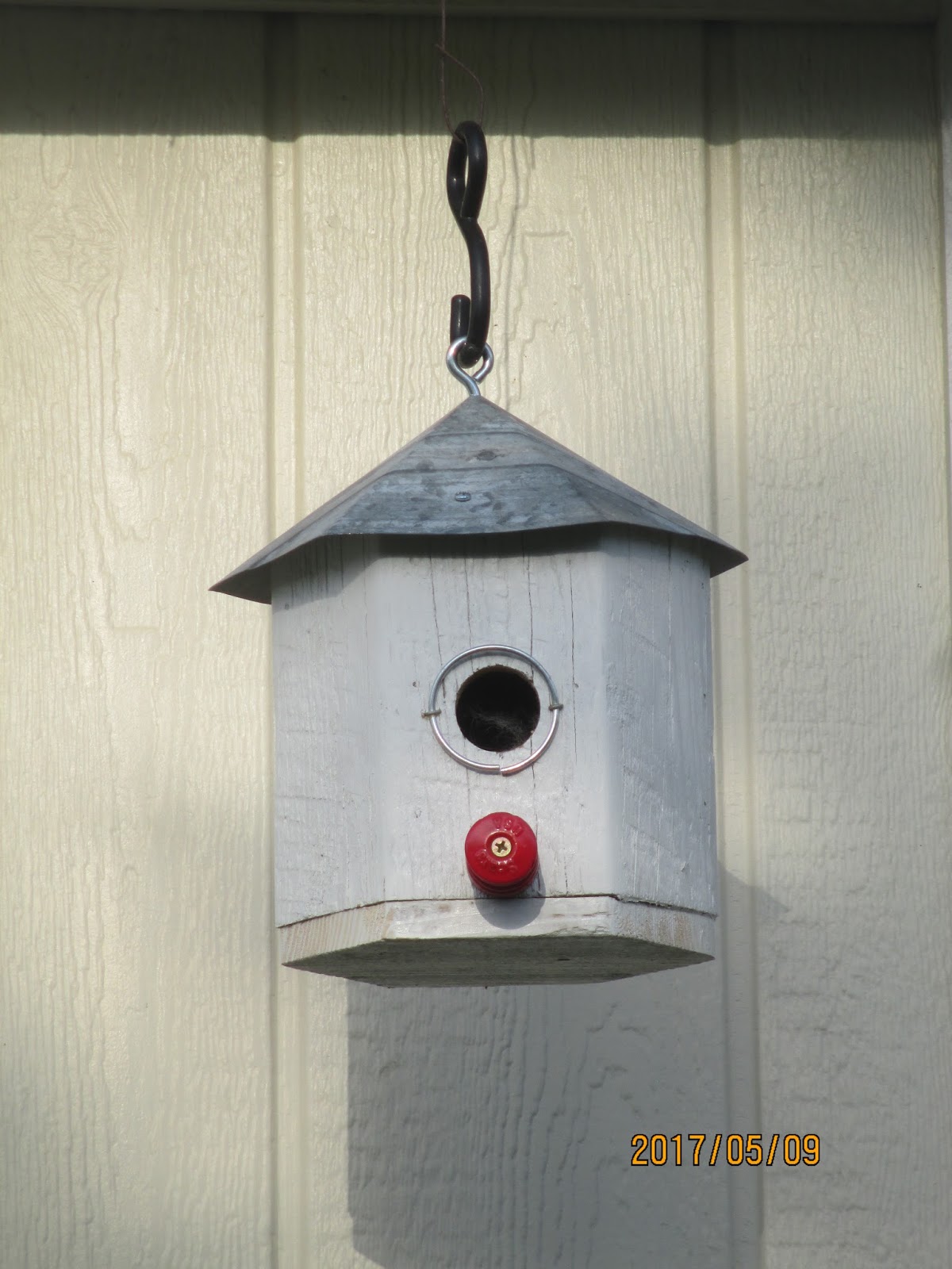 From Cedar Pond to Laughing Dove Farm : Bird Houses