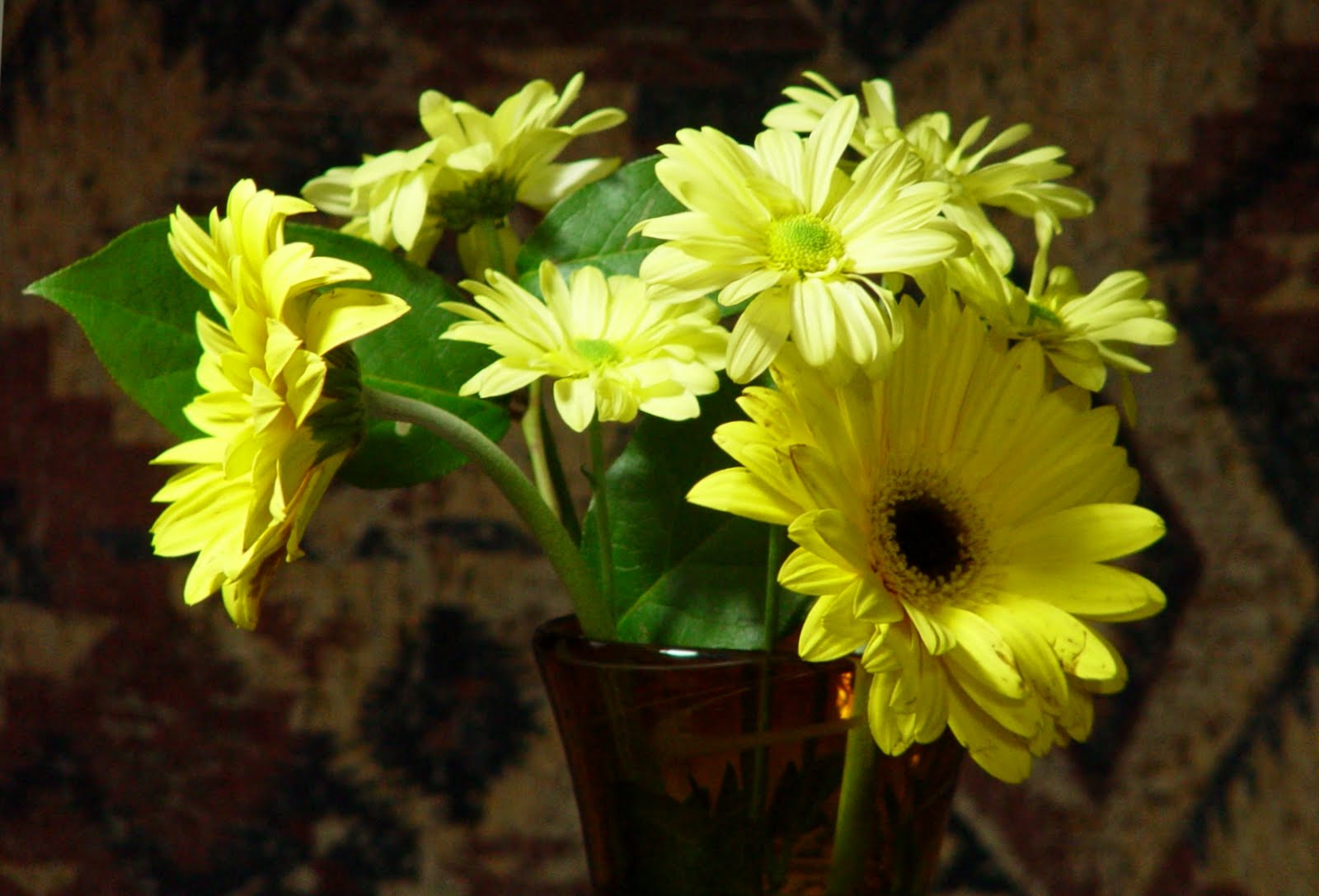 Pat Fiorello - Art Elevates Life: Flower Study #6 Yellow Daisies