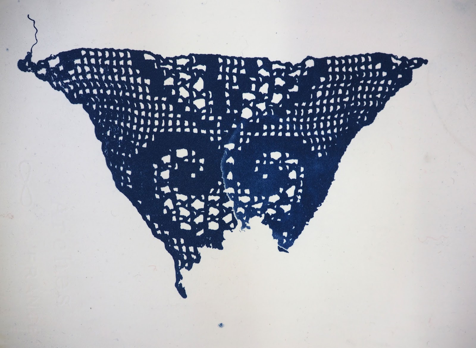 Lighthouse Studio: Island Inspirations Weekend: Cyanotype Workshop