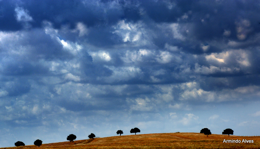 TERRA VIVA: PLANÍCIE