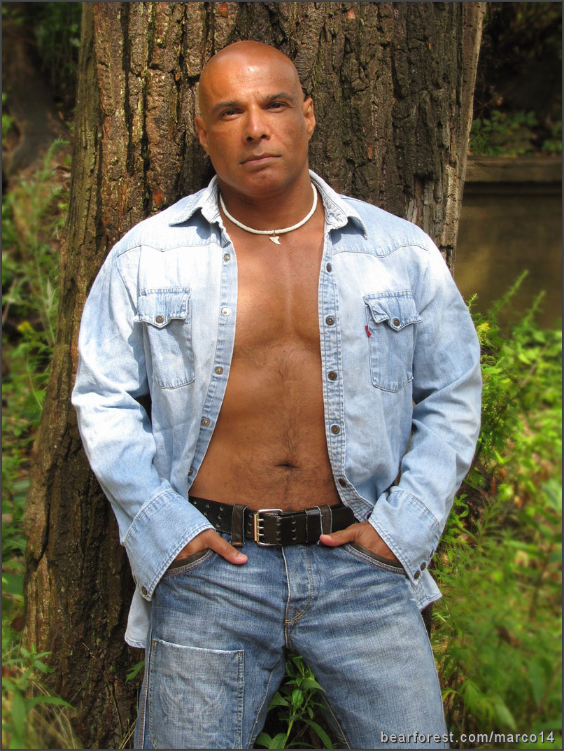 Mature & Bearmen Hideaway: Bear Chest