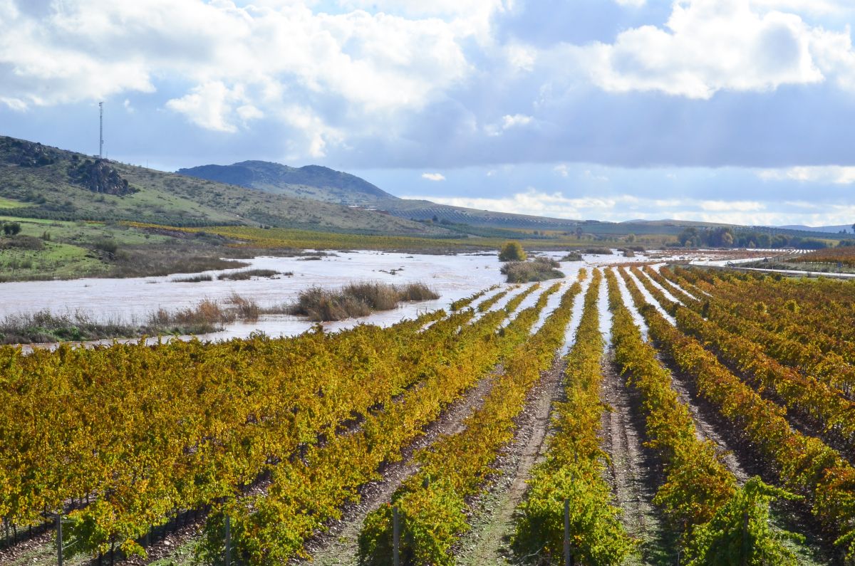 ALMANAQUE NATURAL: noviembre 2012