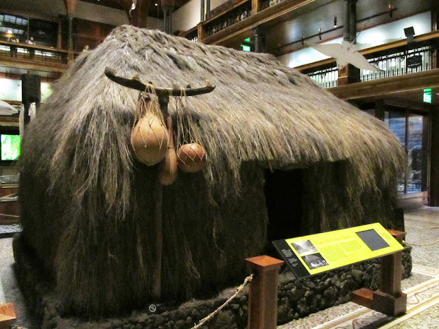 Earth and Space News: Hawaiian Pili Grass Houses: Hawaii Five-0 2010 ...