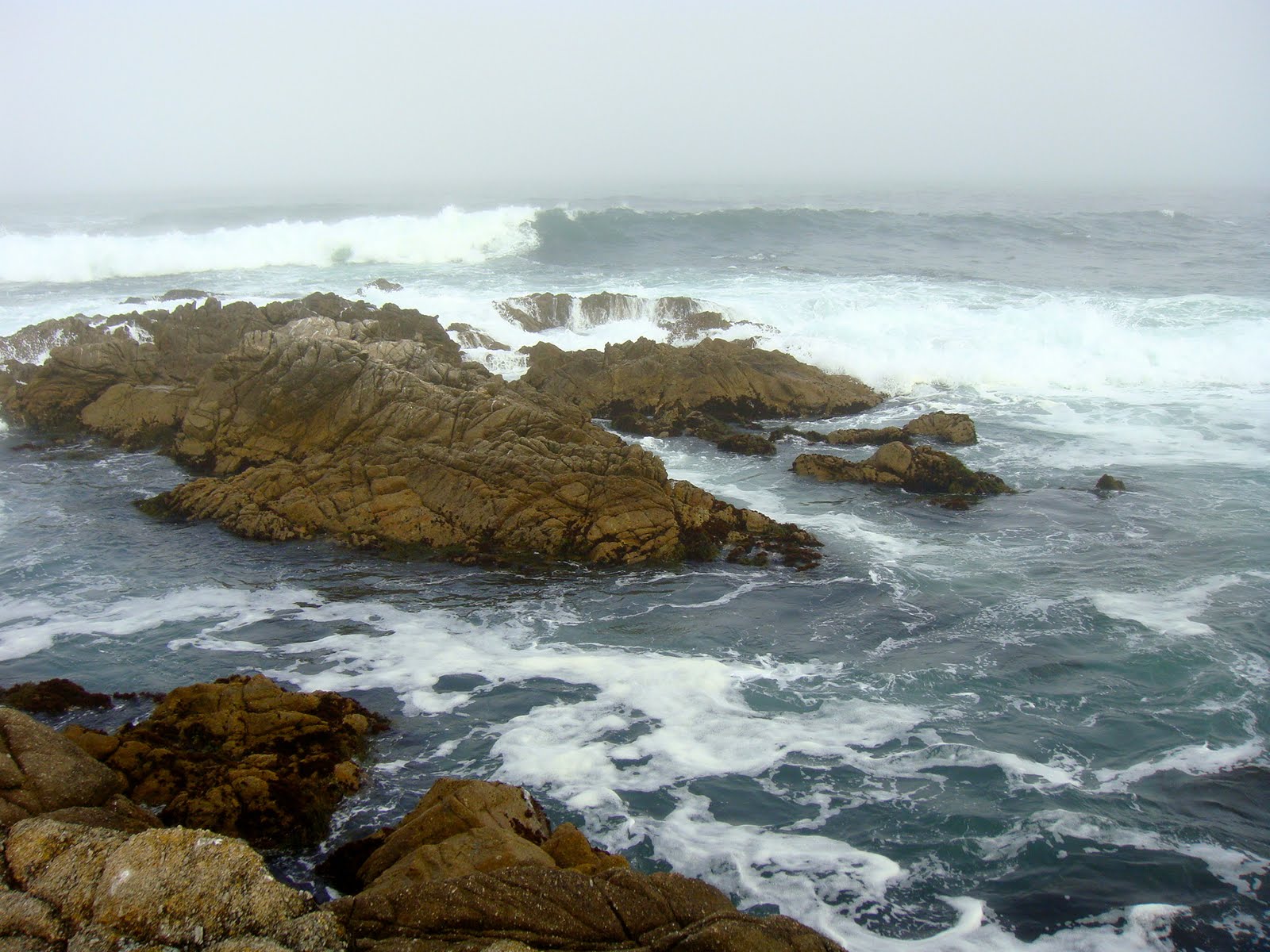 Asilomar State Beach | sealaura